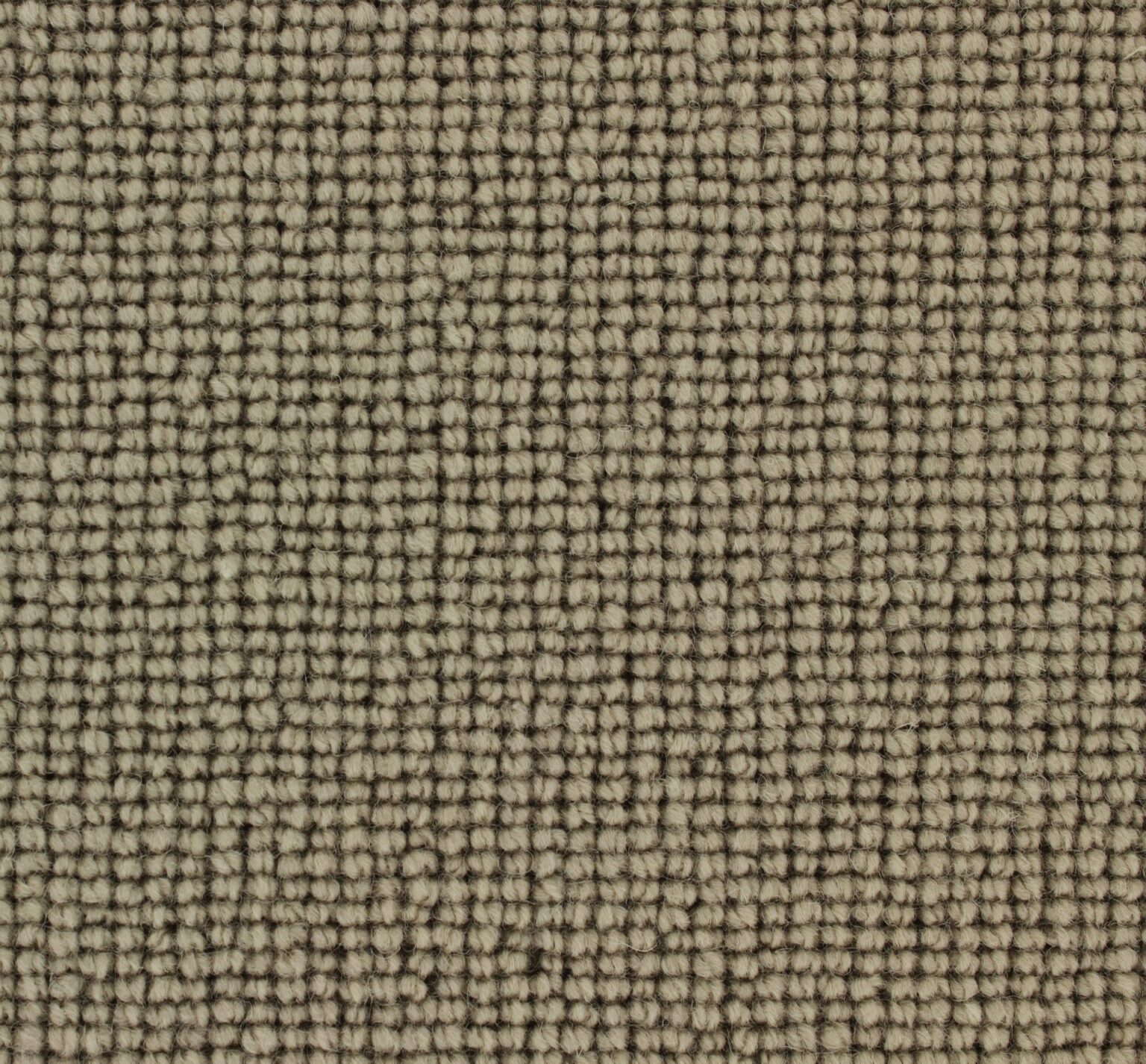 Putty Chelsea Wool Carpet | Knotistry