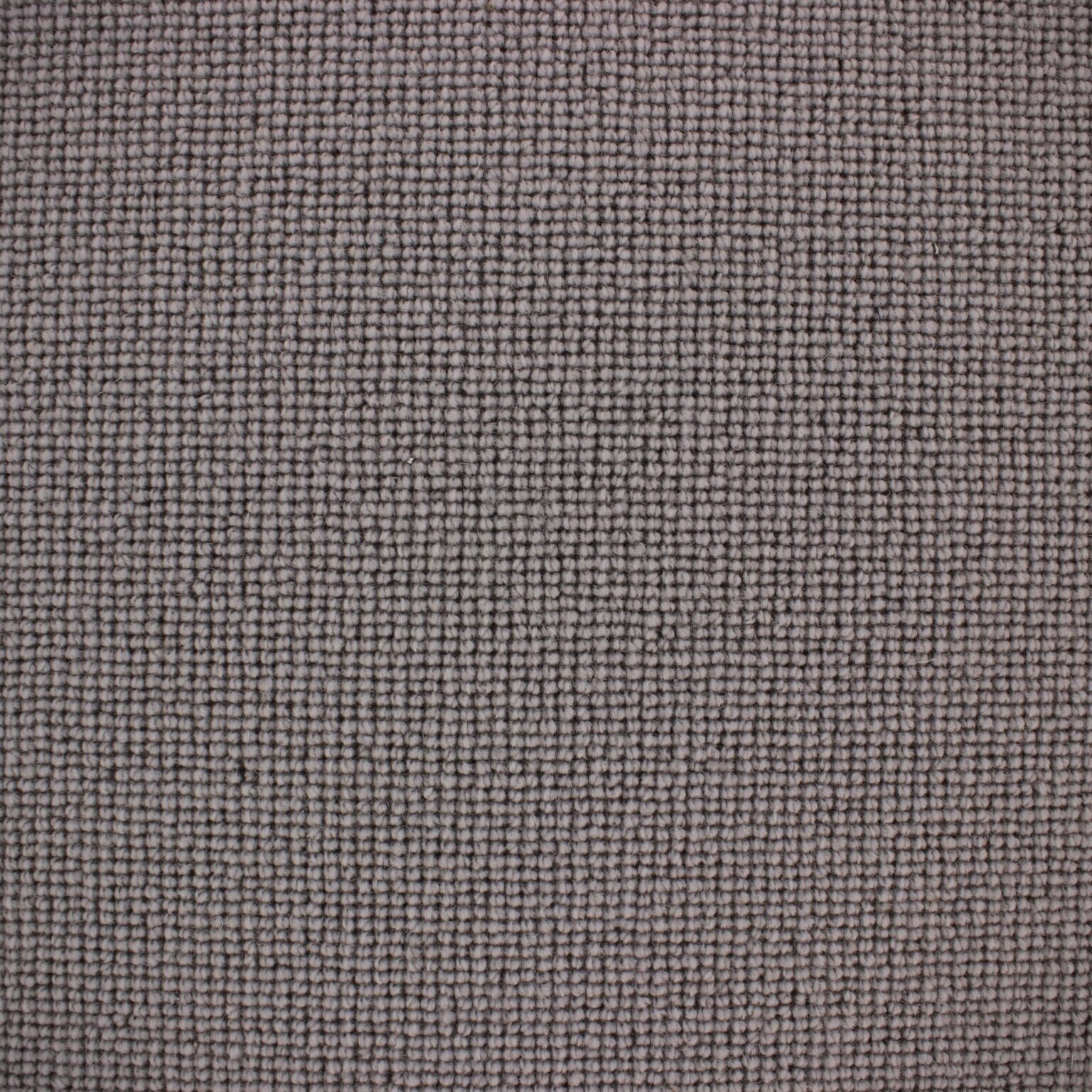Pumice Chelsea Wool Carpet | Knotistry