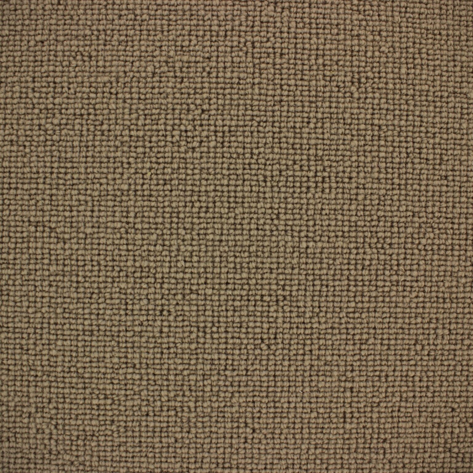 Sand Chelsea Wool Carpet | Knotistry