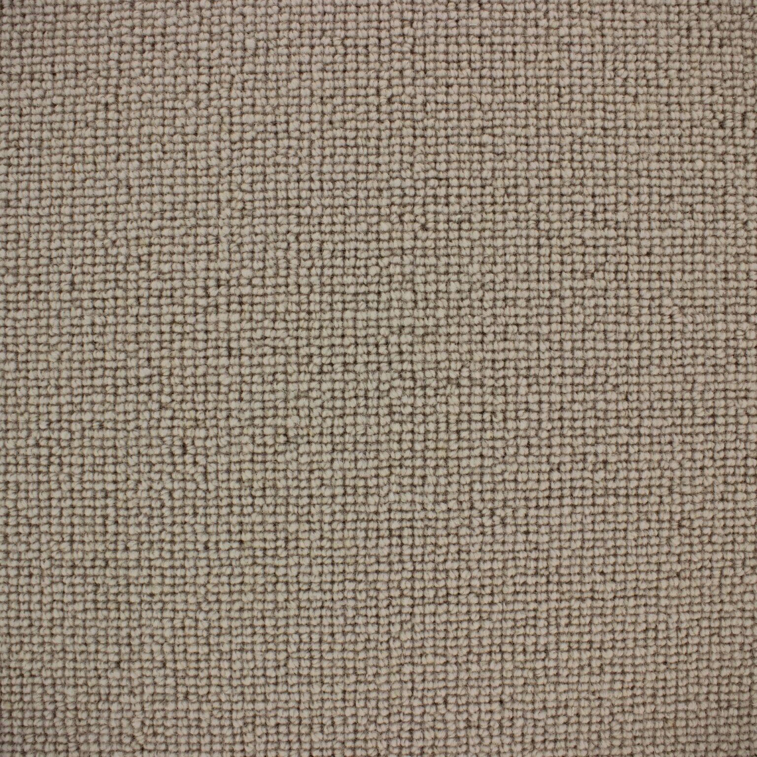 Sea Salt Chelsea Wool Carpet | Knotistry